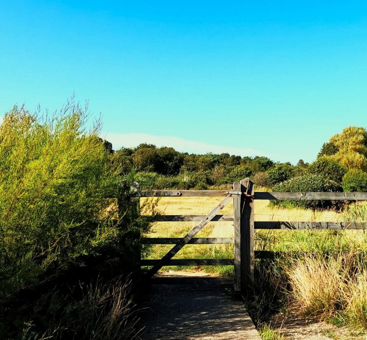 Guide to Shell Bay in Dorset - Tourism Sandbanks